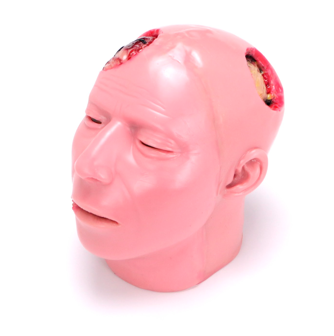 Anatomical Simulator for Skull and Face Pathologies - Pro Delphus